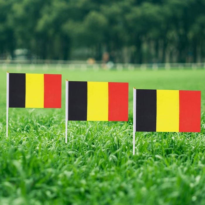 Mini Bandera - Z-SmileFun: Banderas, Mini Banderas y Banderillas ...