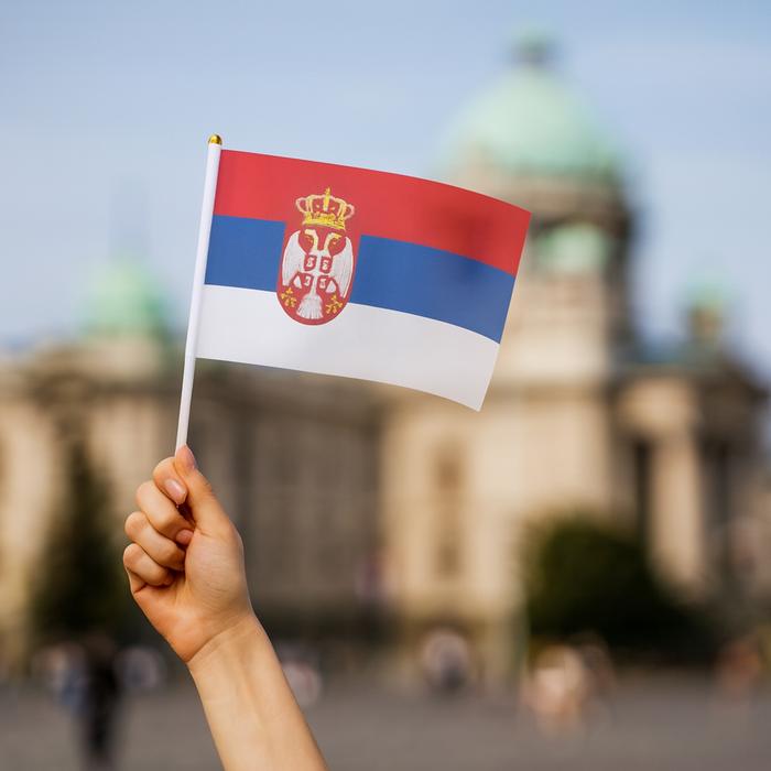 RShandFlag, MXRSA-008, Serbia Hand Flag 100 pieces - VentDepot.com
