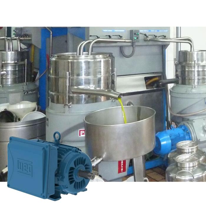 Motores Profesionales AC - Motores AC o Corriente Alterna - BlueMotorT ...