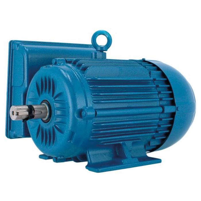 Motores Profesionales AC - Motores AC o Corriente Alterna - BlueMotorT ...